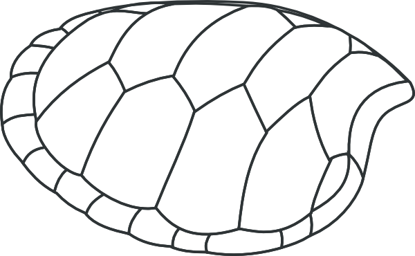 Turtle Shell Outline Clip Art At Clker Vector Clip Art Online 